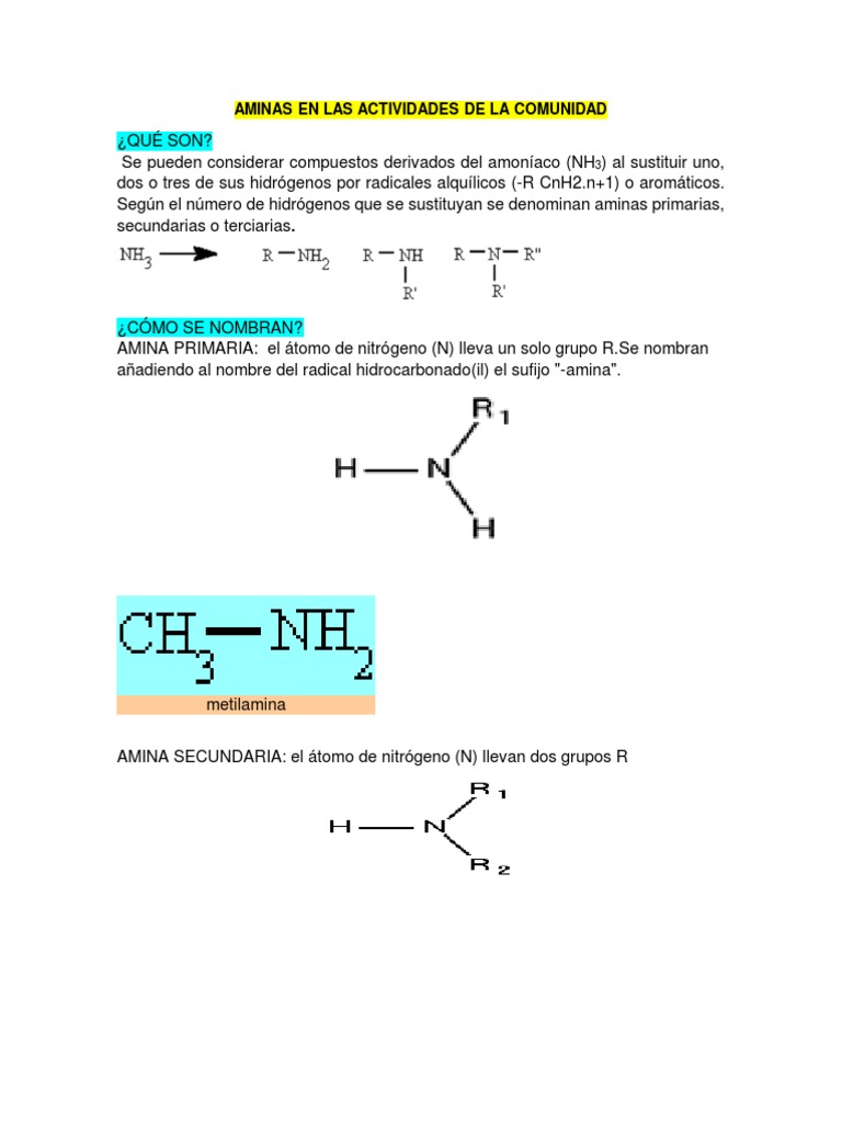 Clasificación y Nomenclatura de Aminas | PDF | Amina | Ciencias fisicas