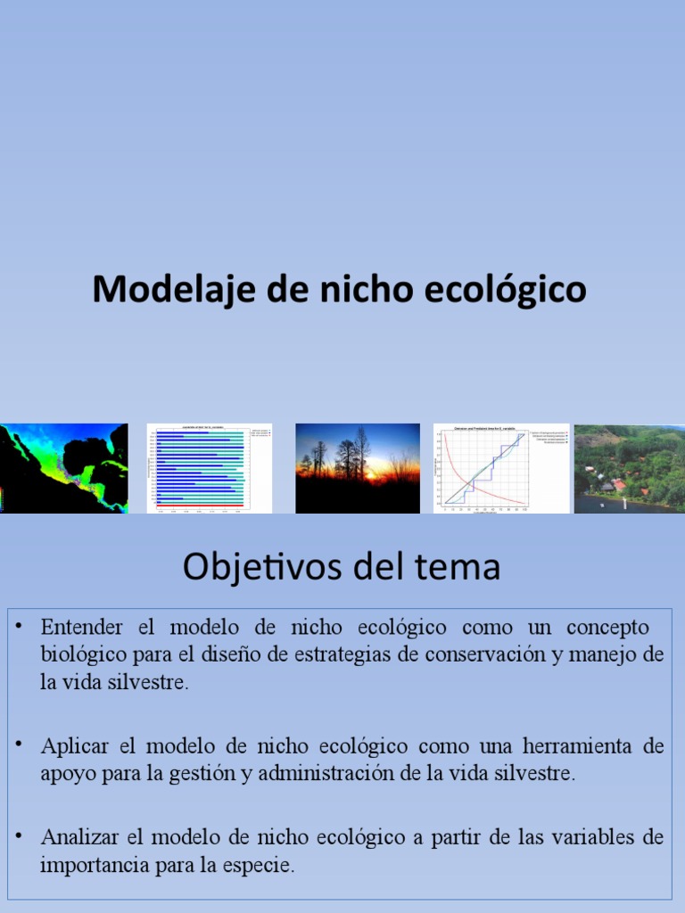 Nicho Ecológico Teórico | PDF | Entropía | Nicho ecológico