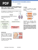 Prospecto NIFURYL | PDF | Infección del tracto urinario ...