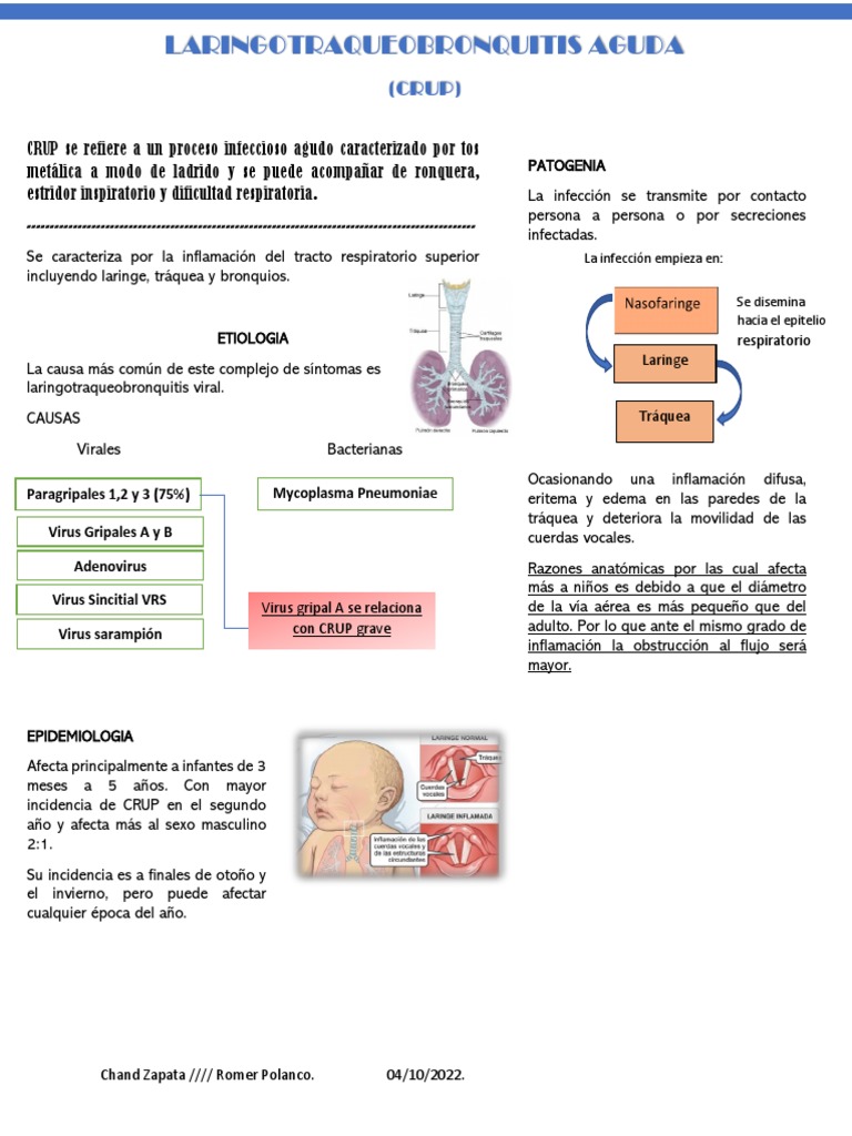 Guía Completa sobre el CRUP Infantil | PDF | Medicina | Medicina CLINICA