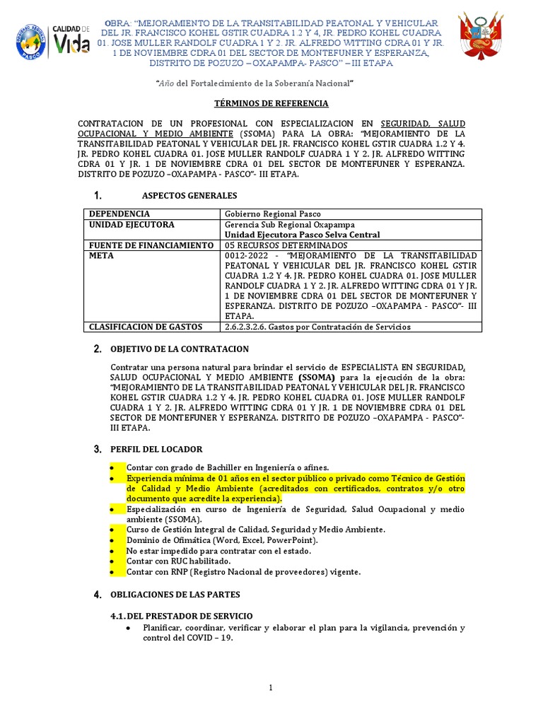 TDR Especialista en Seguridad | PDF