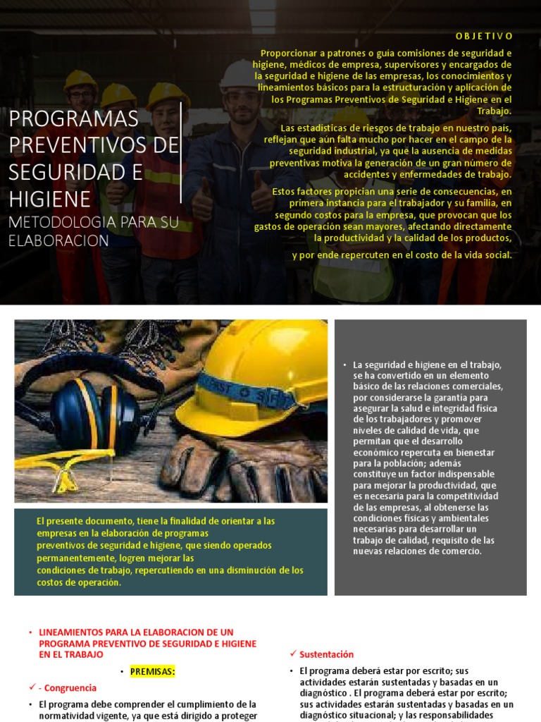 Programas Preventivos de Seguridad e Higiene Ind. | PDF | Valores | Business