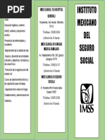 Triptico Issste | PDF | Ciencias de la Salud