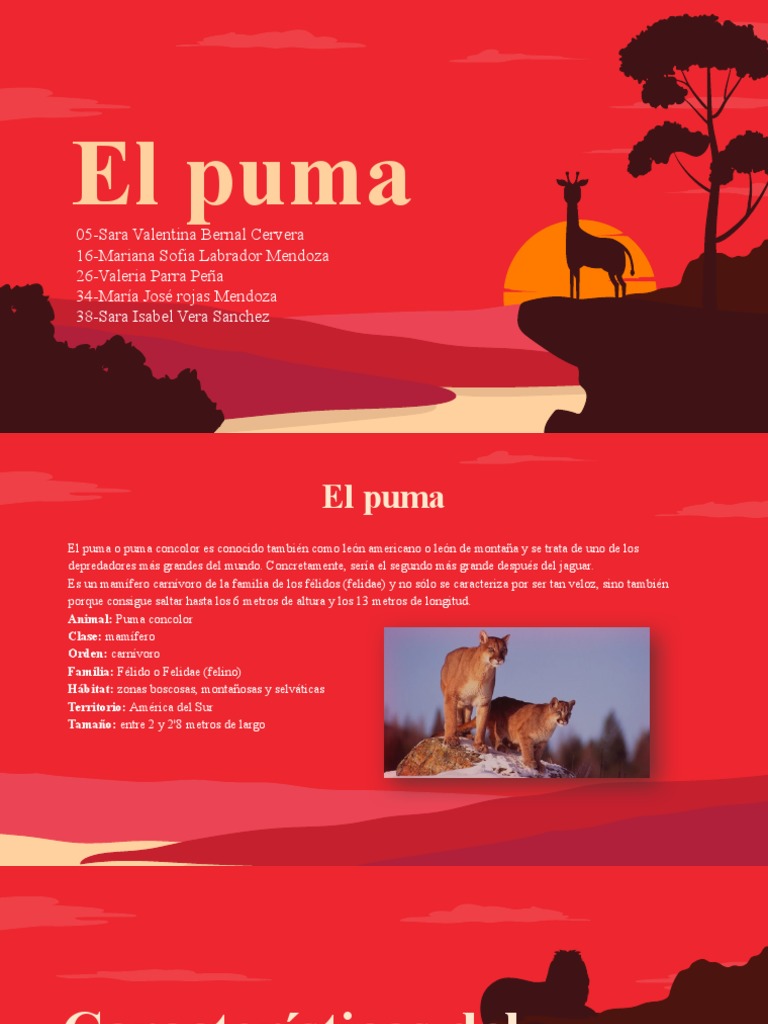 Puma | PDF | Puma | Felidae