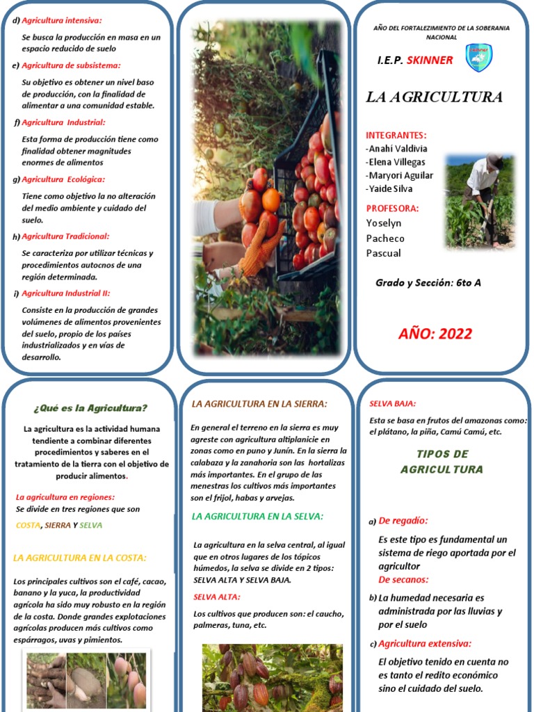 Triptico Agricultura | Descargar gratis PDF | Agricultura | Riego