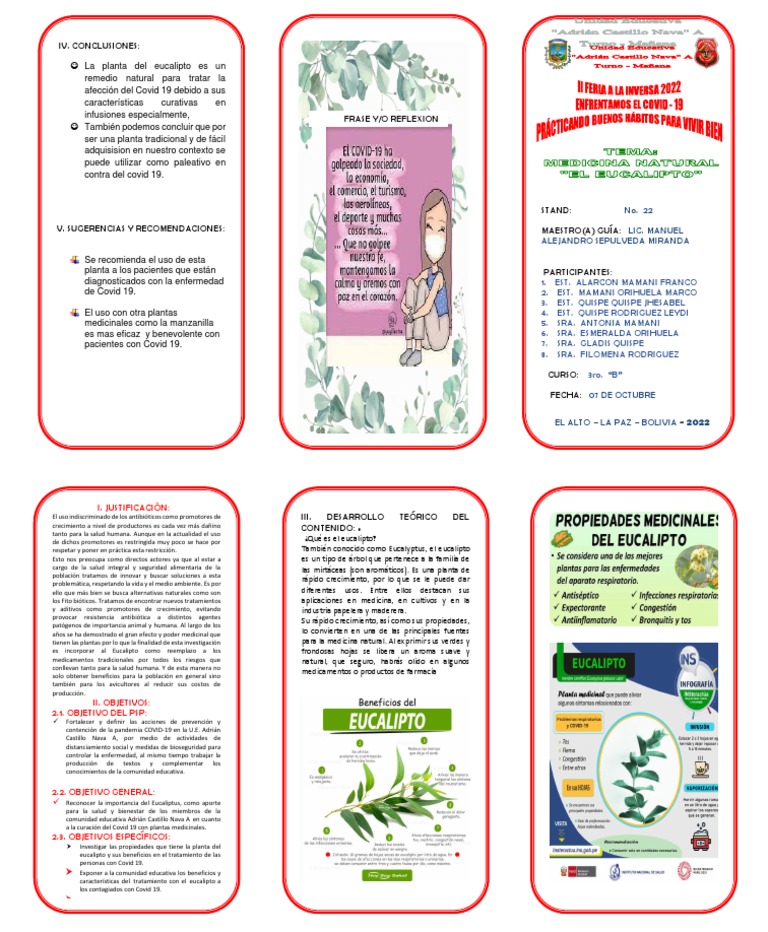 TRIPTICO | PDF | Eucalipto | Salud pública