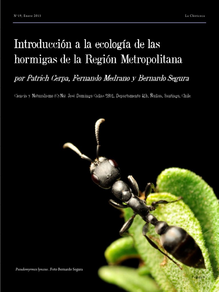 La-Chiricoca-19 Part2 C | PDF | Hormiga | Biología