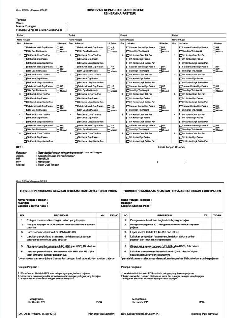 Form Monitoring Ppi | PDF