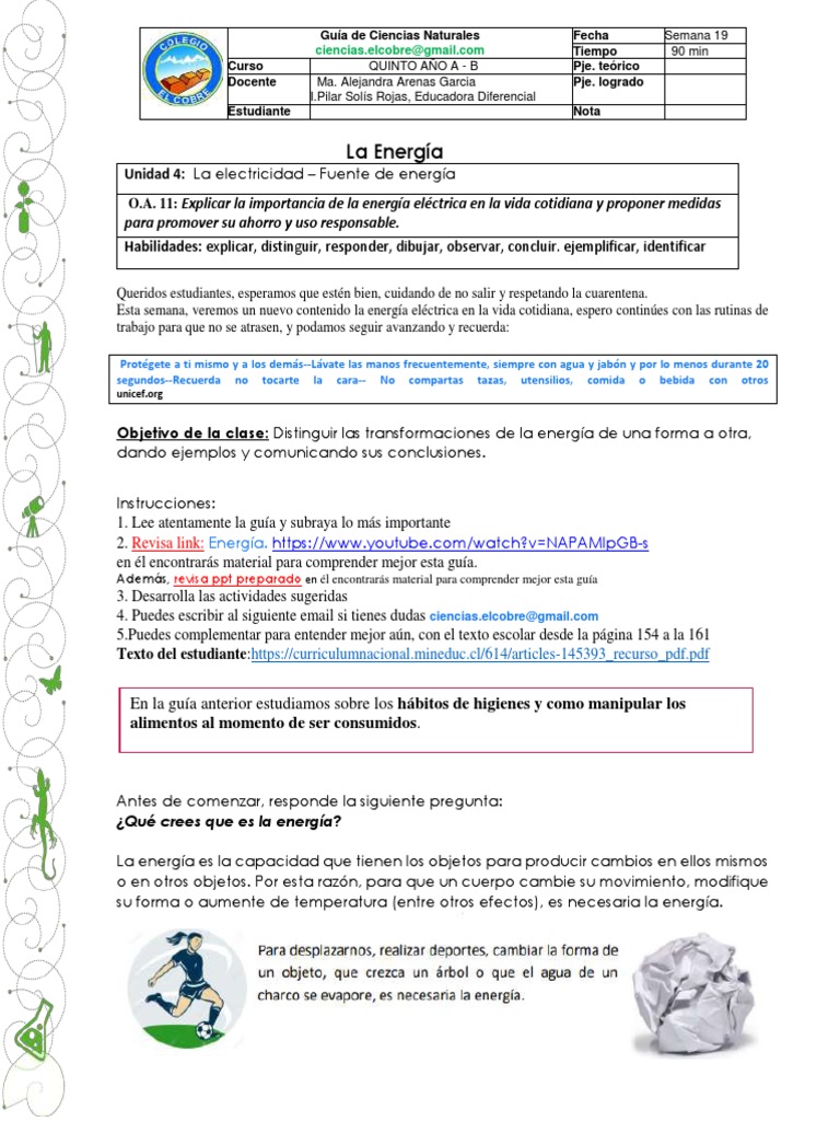 Guia Ciencias 6° | PDF