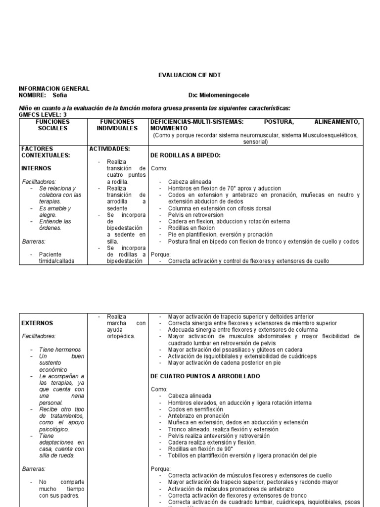 Evaluacion Cif-Ndt Ultimo | Descargar gratis PDF | Tobillo | Bipedalismo