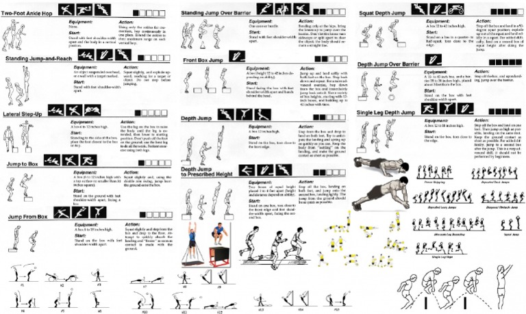 1200px Plyometrics | PDF