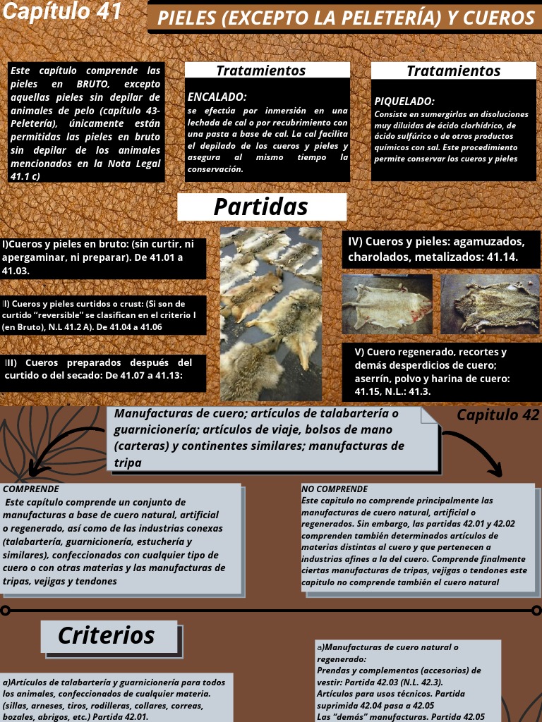 Capitulo 41, 42, 43 | PDF | Cuero | Ocultar (piel)