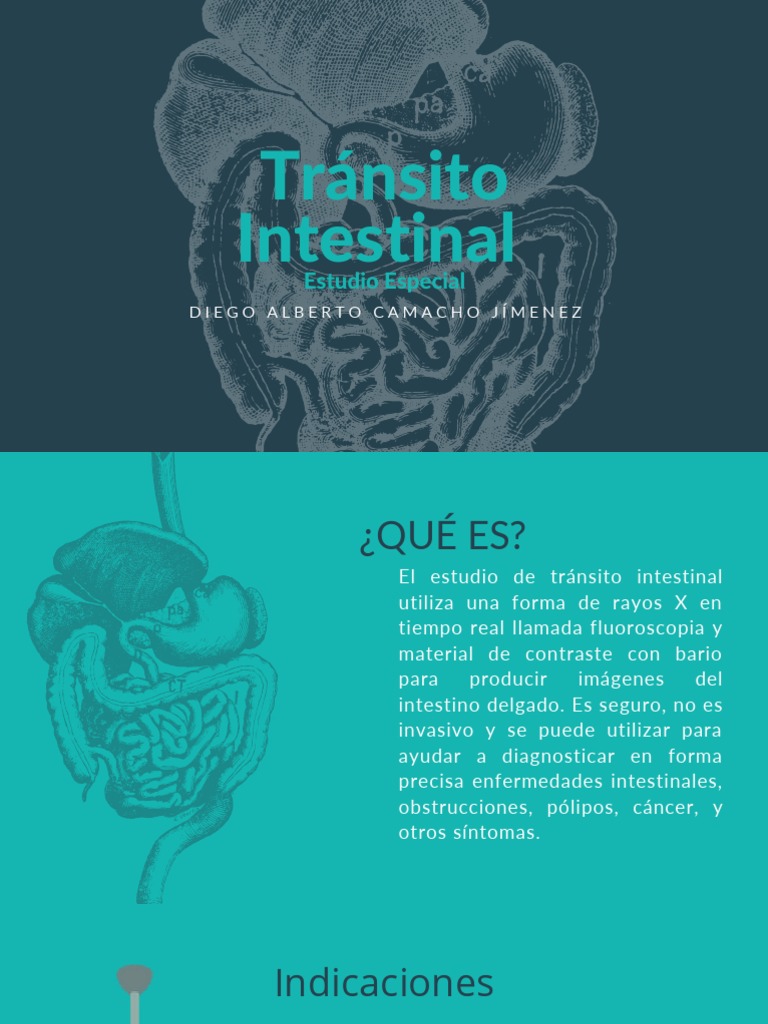 Tránsito Intestinal | PDF | Tracto gastrointestinal | Sistema digestivo ...