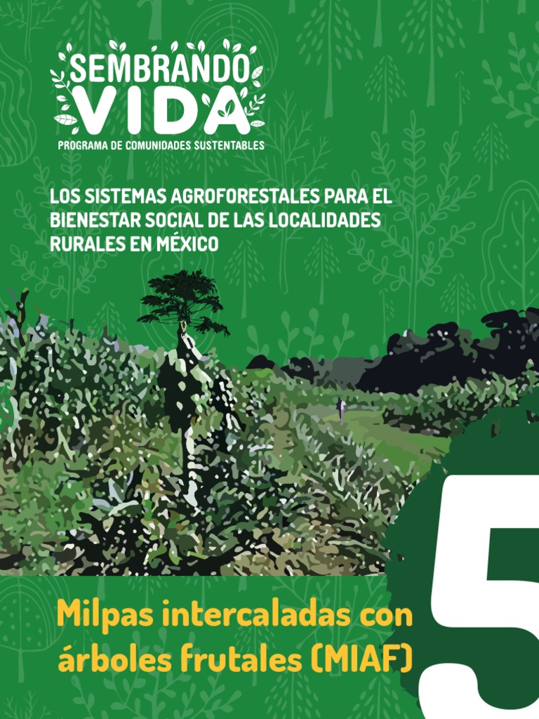 Manual 5 - MIAF | PDF | Suelo | Agricultura