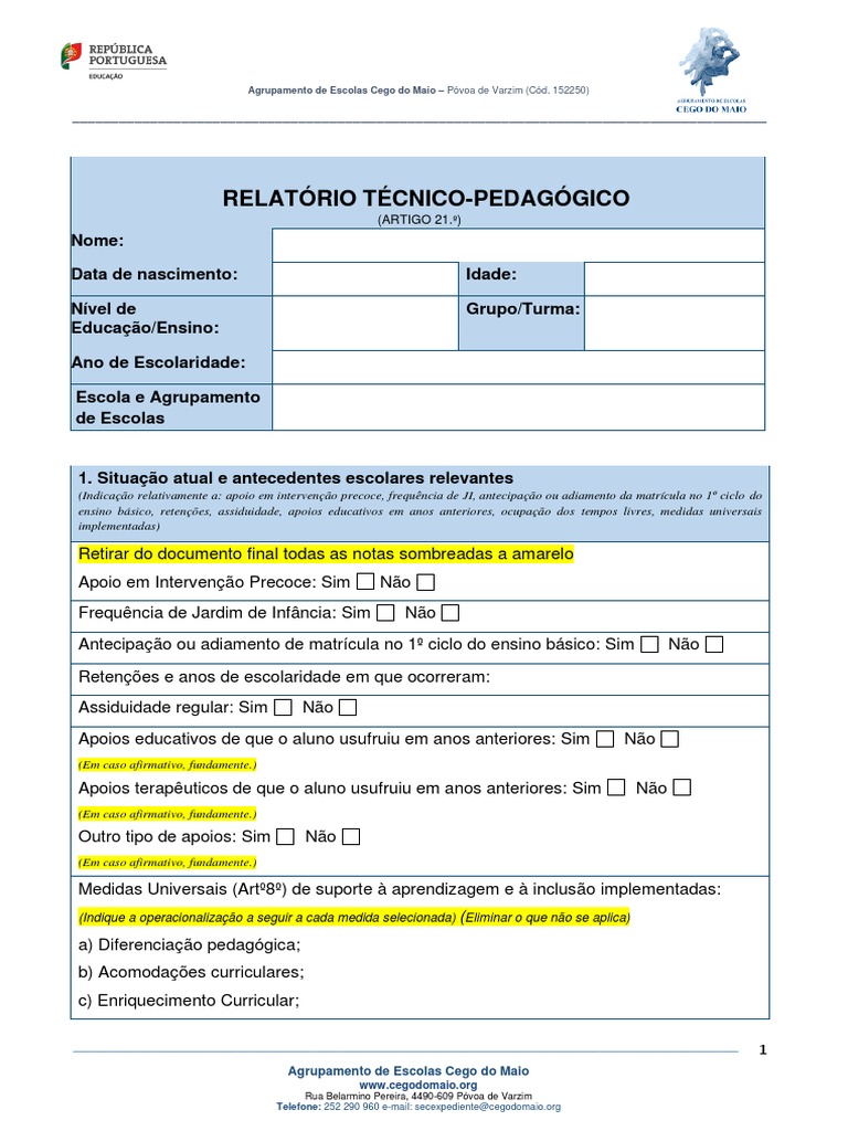 MODELO Relatório Técnico Pedagógico RTP | PDF | Educação Especial ...
