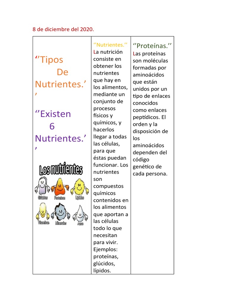 Tipos de Nutrientes | PDF | Nutrientes | Carbohidratos