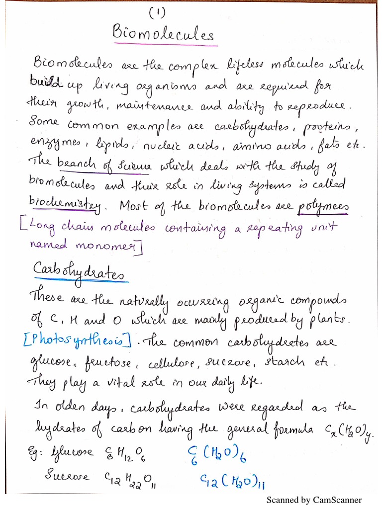 Complete Notes On Biomolecules | PDF