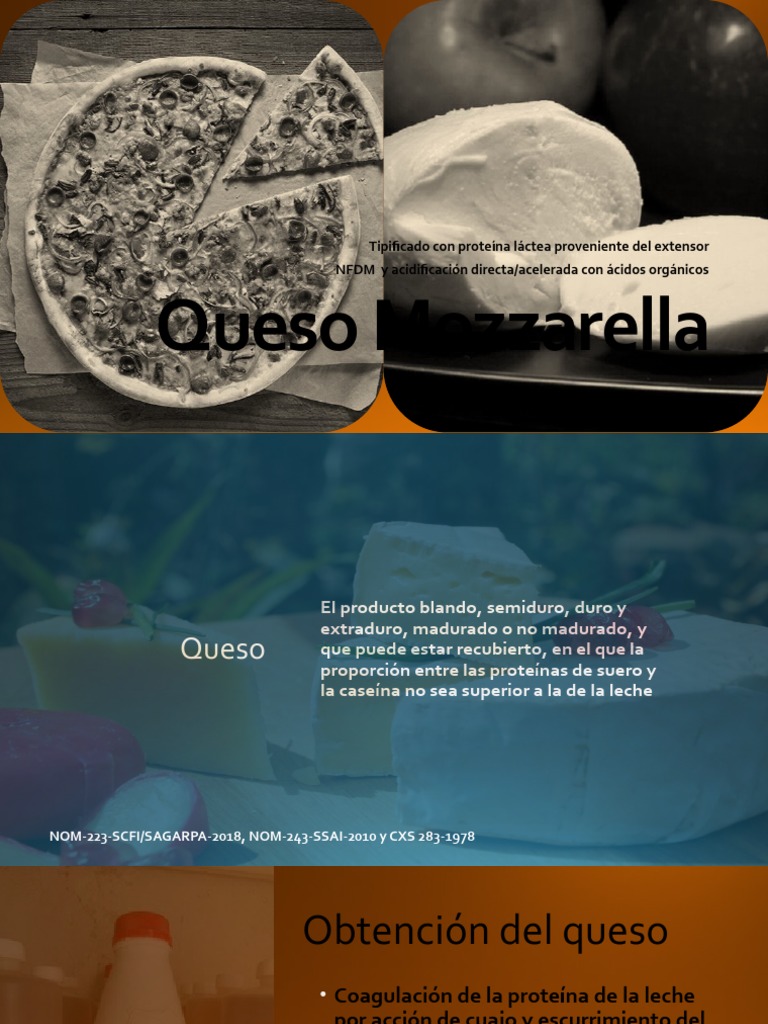 Queso Mozzarella | PDF | Leche | Queso