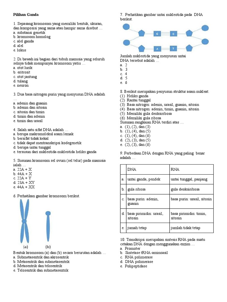 Biologi 3 Substansi Genetik P Slamet | PDF