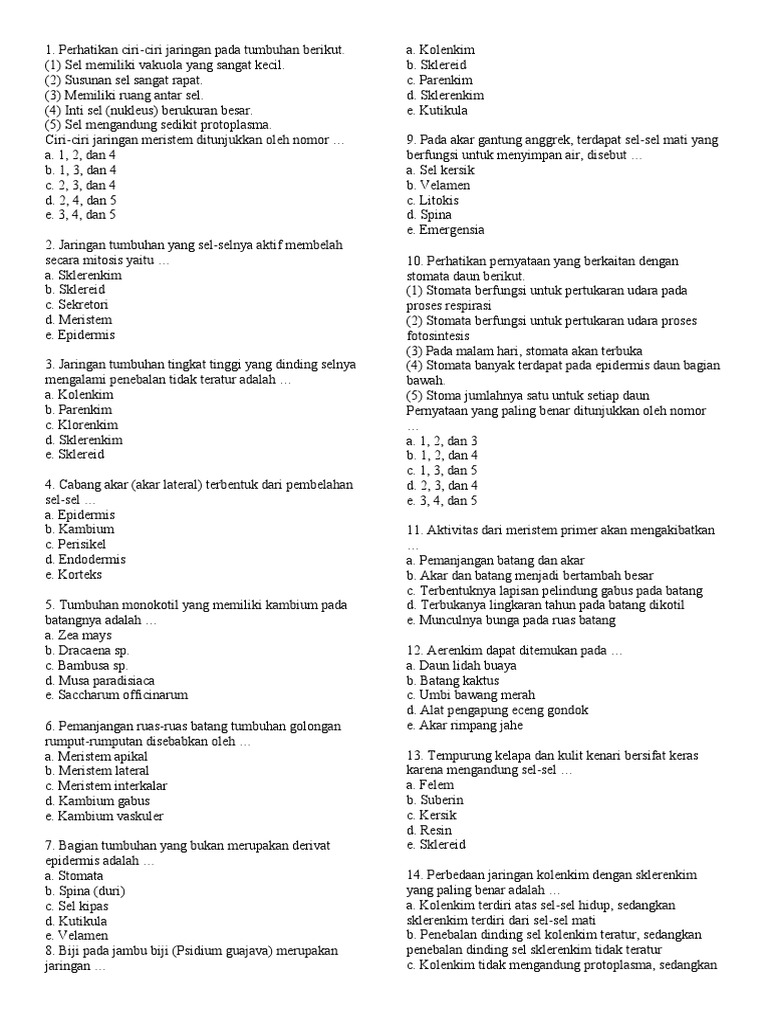 Ciri dan Fungsi Jaringan Tumbuhan | PDF | Sains & Matematika