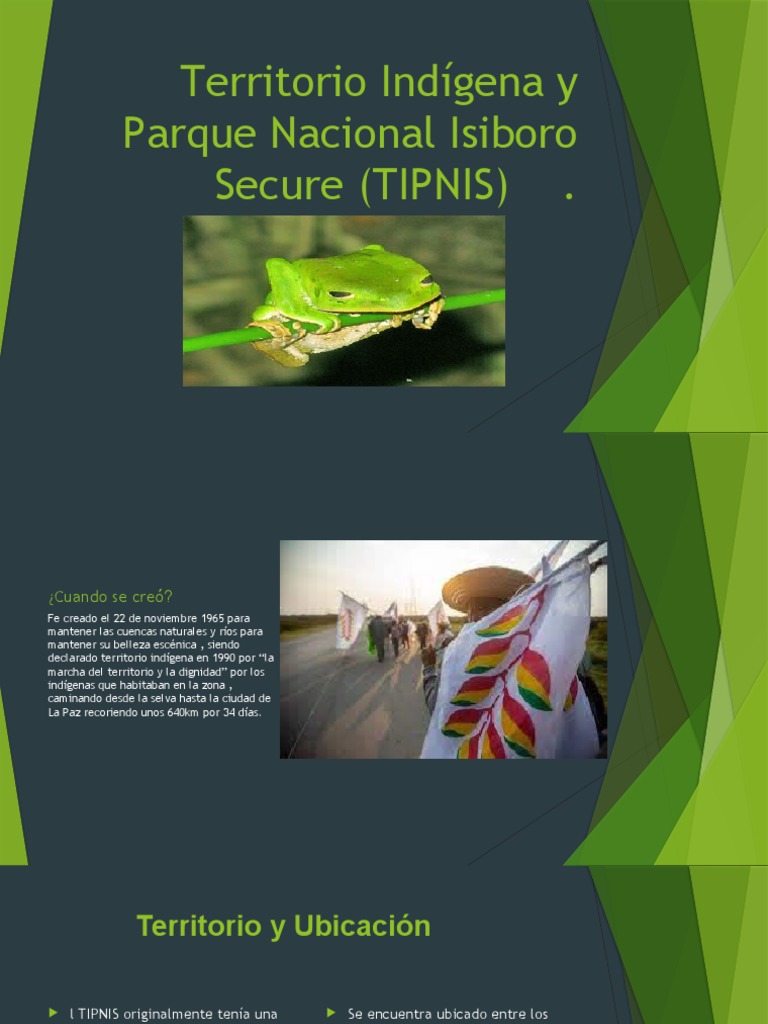 Territorio Indígena y Parque Nacional Isiboro | PDF | Organismos | Aves