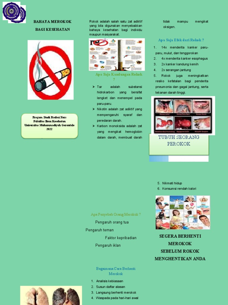 Leaflet Bahaya Merokok | PDF