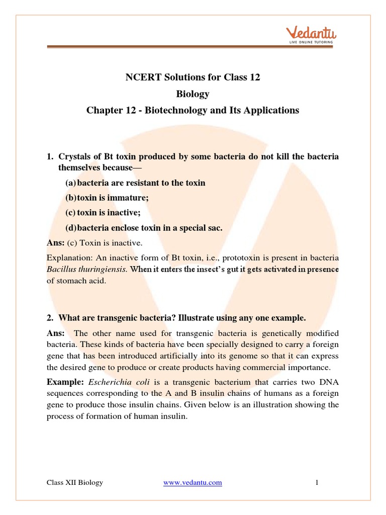 Class 12 - Biology - Biotechnology and Its Applications | PDF ...