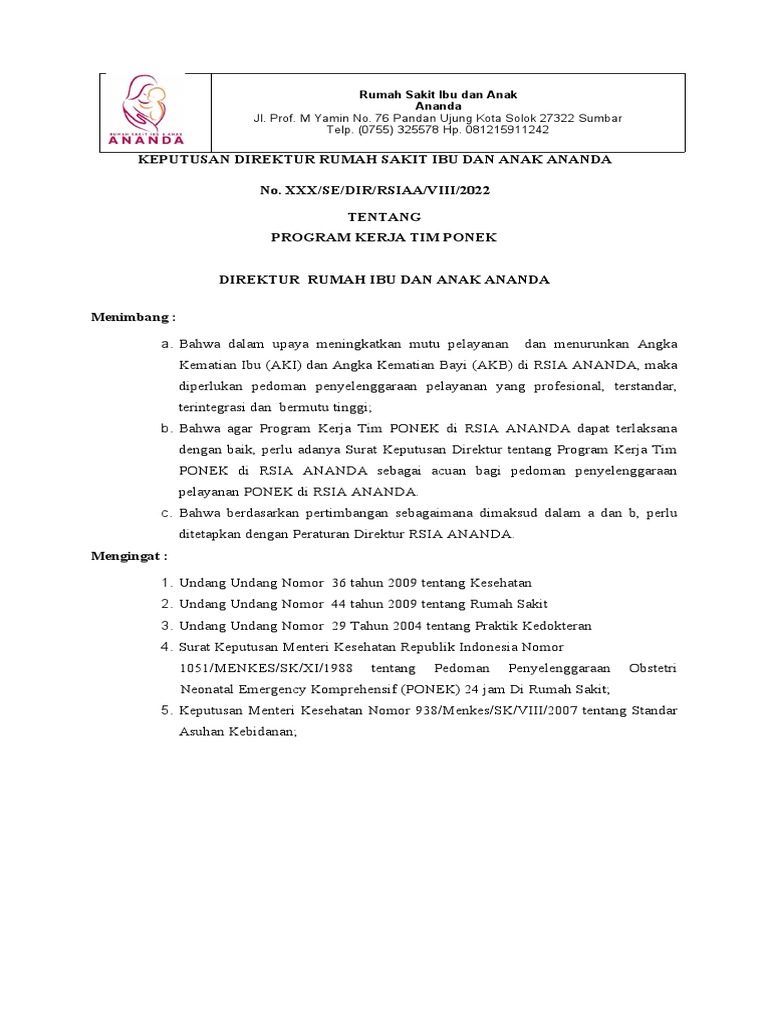 Program Kerja Tim PONEK RSIA Ananda | PDF