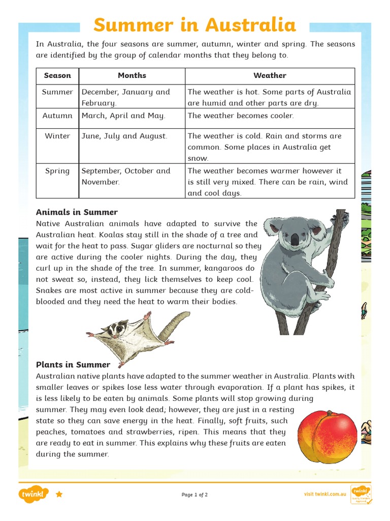 Summer in Australia Differentiated Reading Comprehension Activity | PDF ...