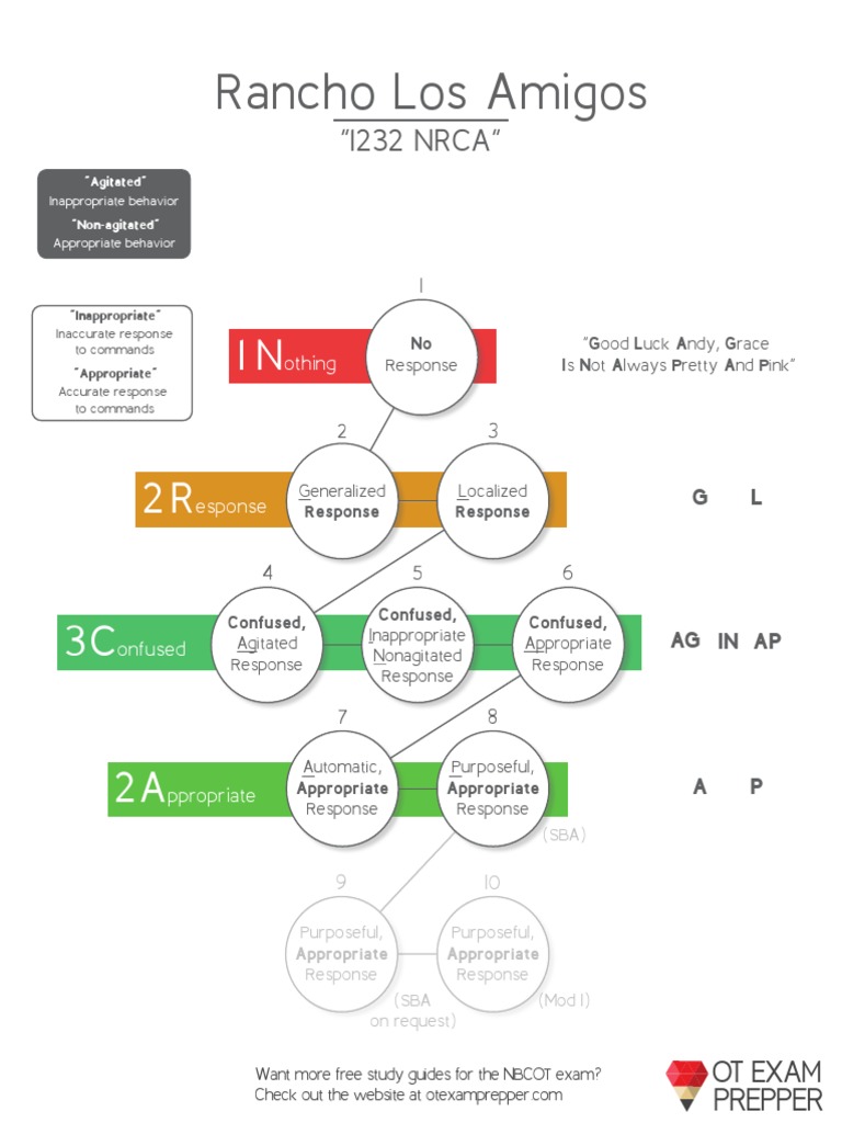 Rancho Los Amigos | PDF