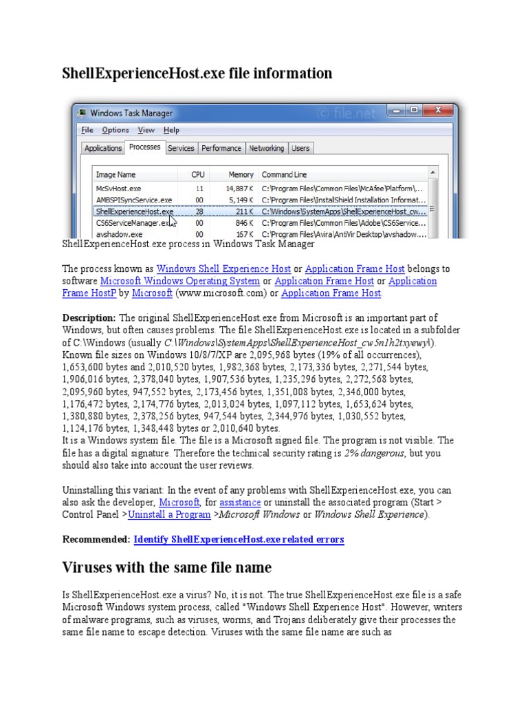 ShellExperienceHost - Exe File Information | PDF | Microsoft Windows | Computer Virus