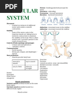 Nasm-Cpt Assessment Solutions Table Cpt6-Update PDF | PDF ...