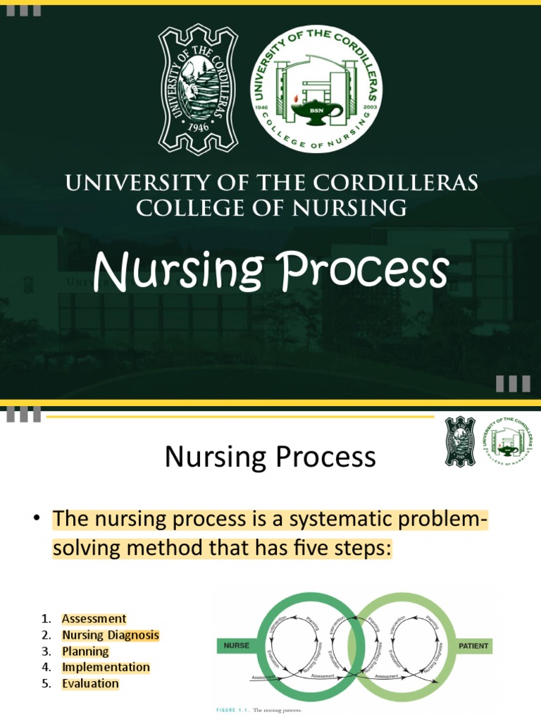 Nursing Process Overview | PDF | Hallucination | Delusion