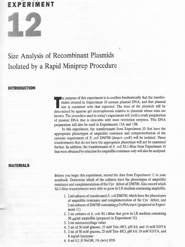 Exp 12 Size Analysis of Recombinant Plasmid + Isolation by A Rapid ...