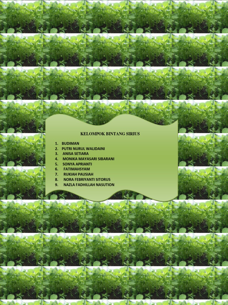 Project p5 Bintang | PDF