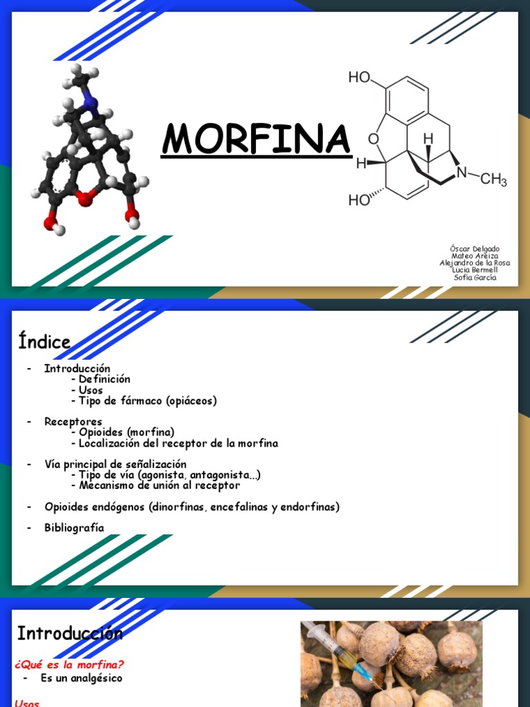 MORFINA | PDF | Opioide | El manejo del dolor