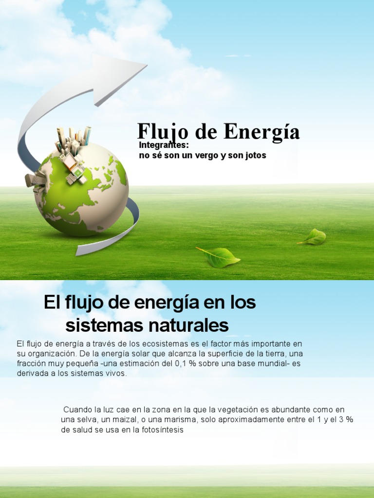 Flujo de Energía en Ecosistemas | PDF | Organismos | Naturaleza
