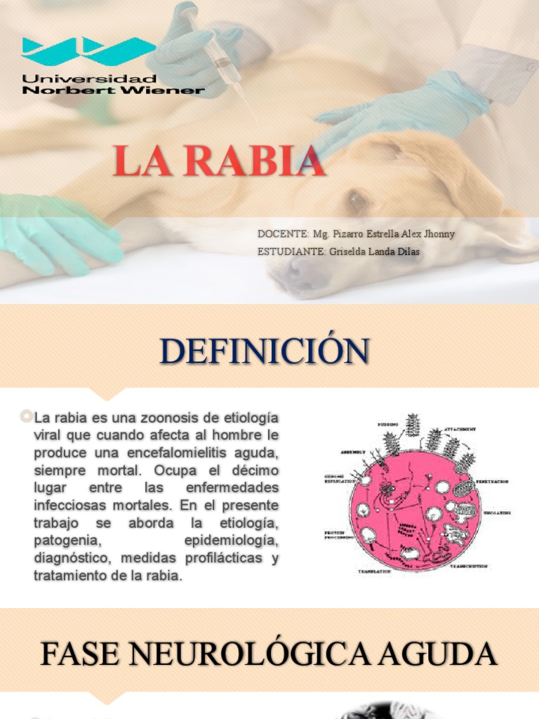 La Rabia - Trabajo | PDF | Rabia | Inmunología