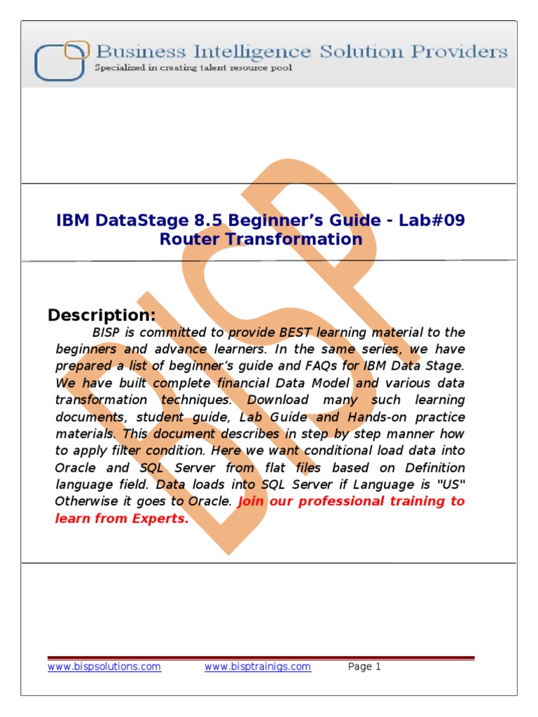 IBM DataStage 8.5 Beginner's Guide - Lab#09 RouterTransformation | Download Free PDF | Microsoft ...