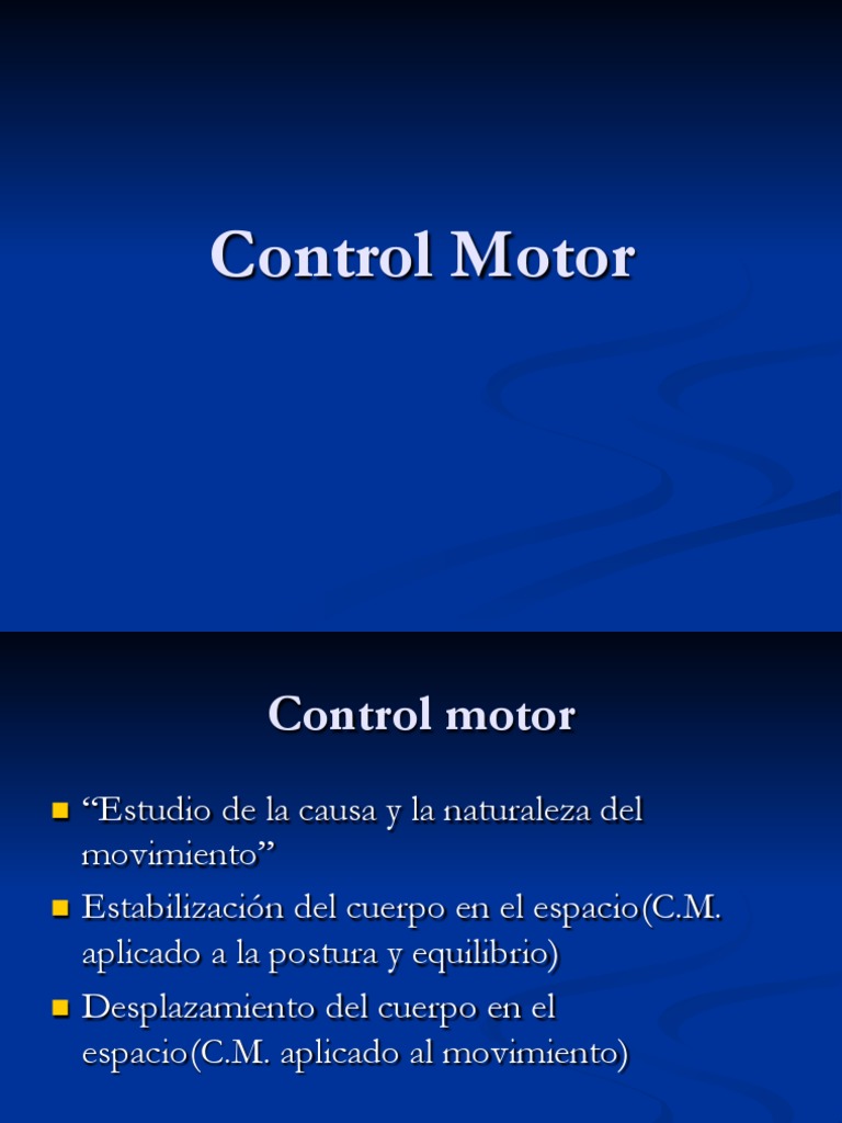 Control Postural | PDF | Músculo esquelético | Neurociencia