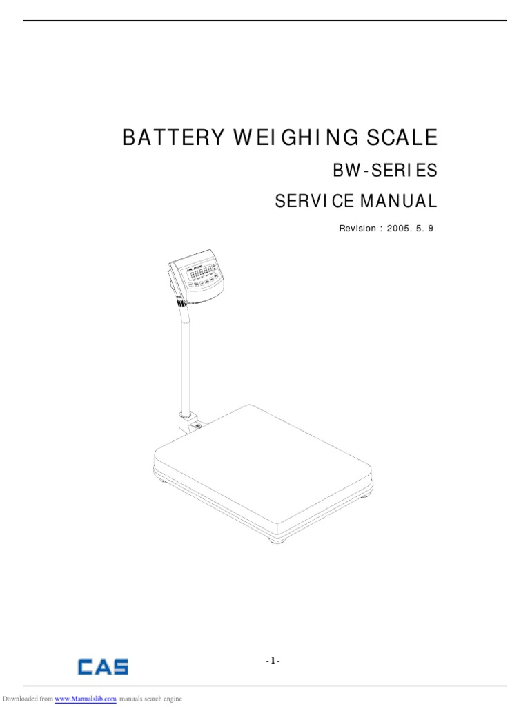 Cas BW | PDF | Calibration | Electricity