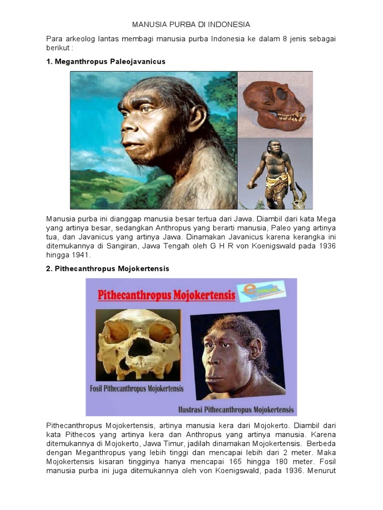 Jenis-Jenis Manusia Purba di Indonesia | PDF | Filsafat | Agama ...