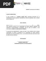 Formato DEL SAT LLENO PDF | PDF | Gobierno | Gobierno y personalidad