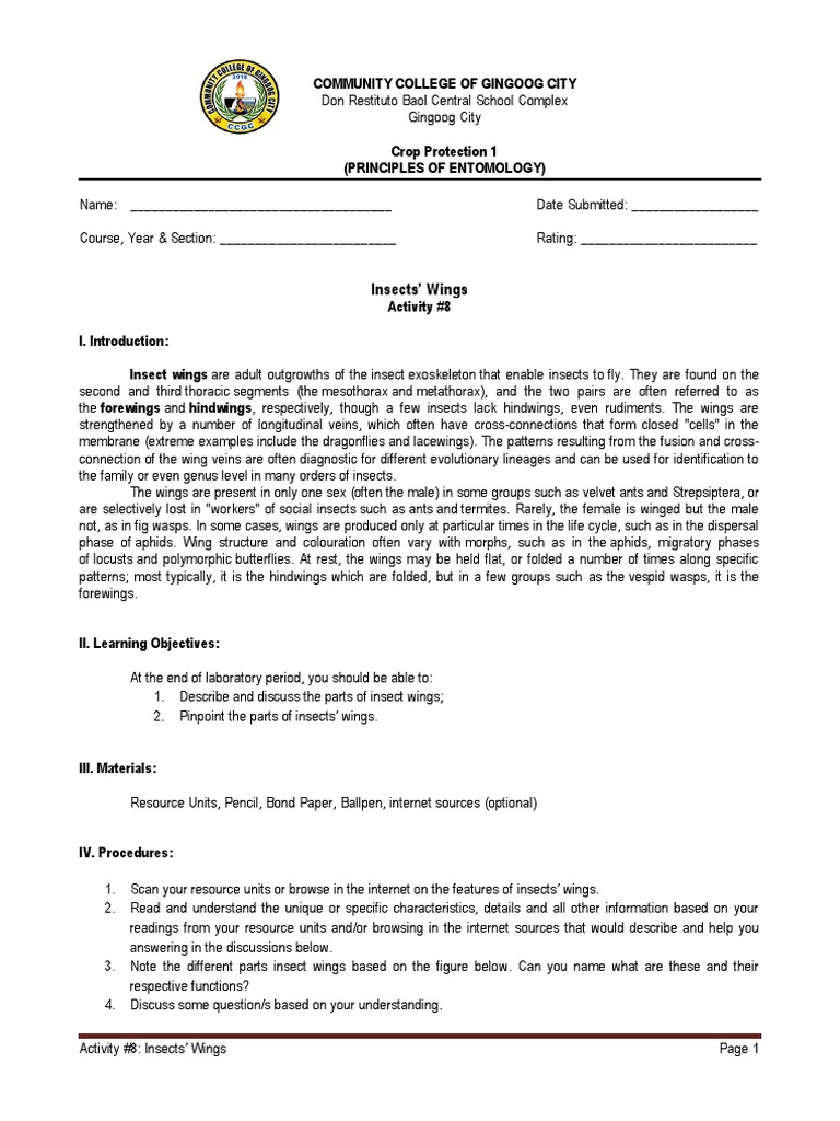 Laboratory Activity 8 | PDF | Insects | Arthropods