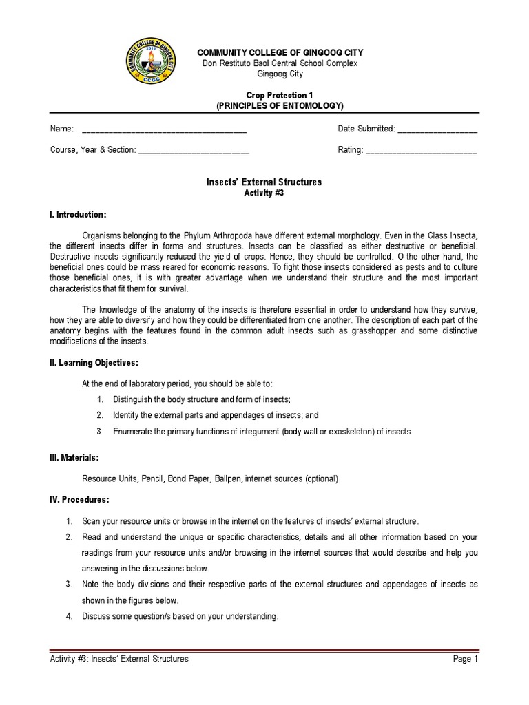 Laboratory Activity 3 | PDF | Insects