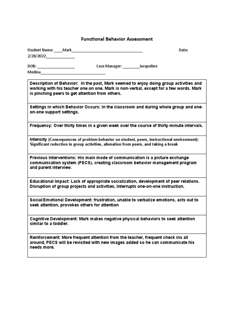 Functional Behavior Assessment for Mark | PDF