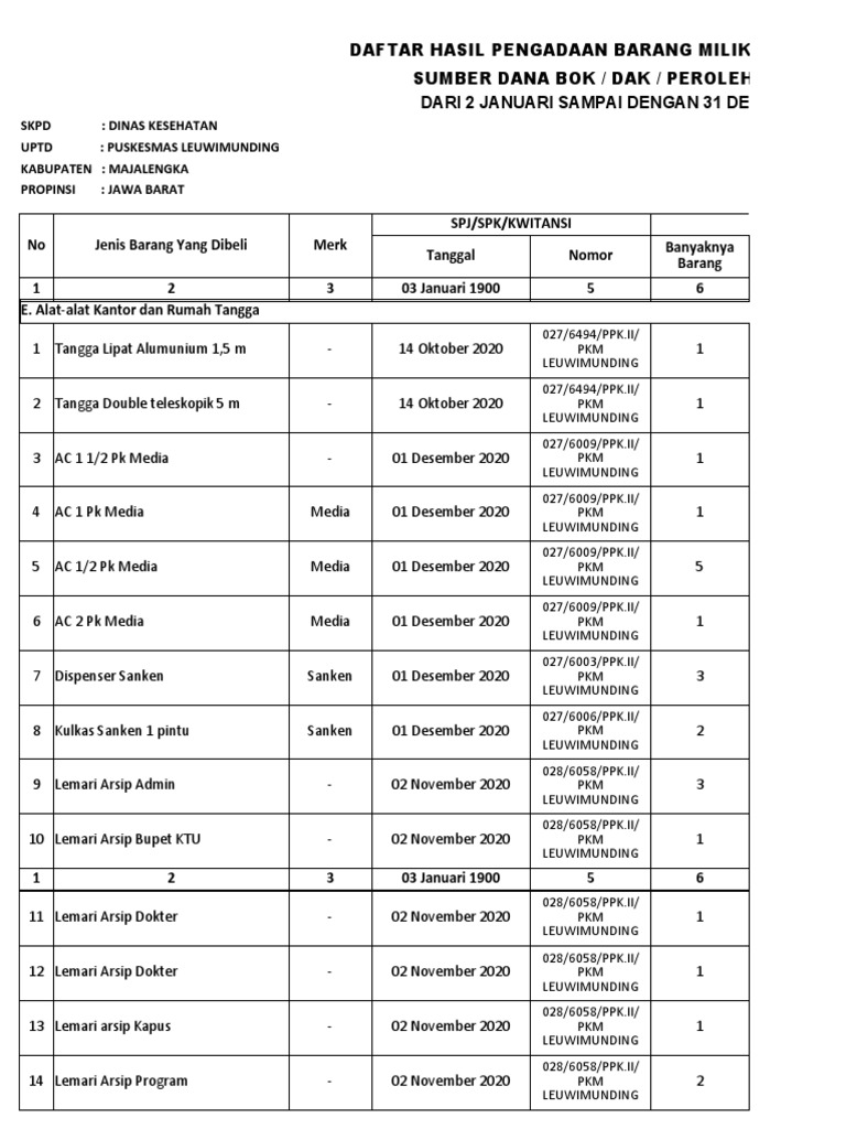 Daftar Hasil Pengadaan Barang Milik Daerah 2020 | PDF