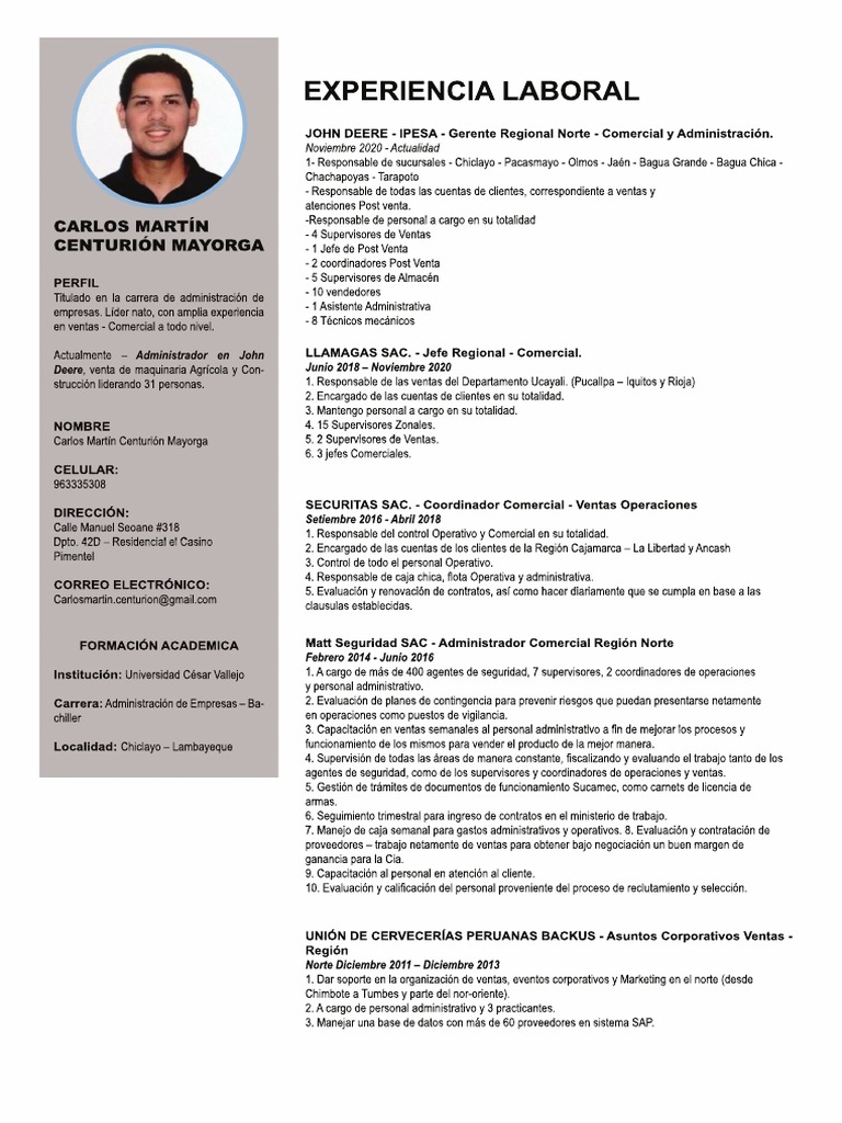 CV Actualizado | PDF