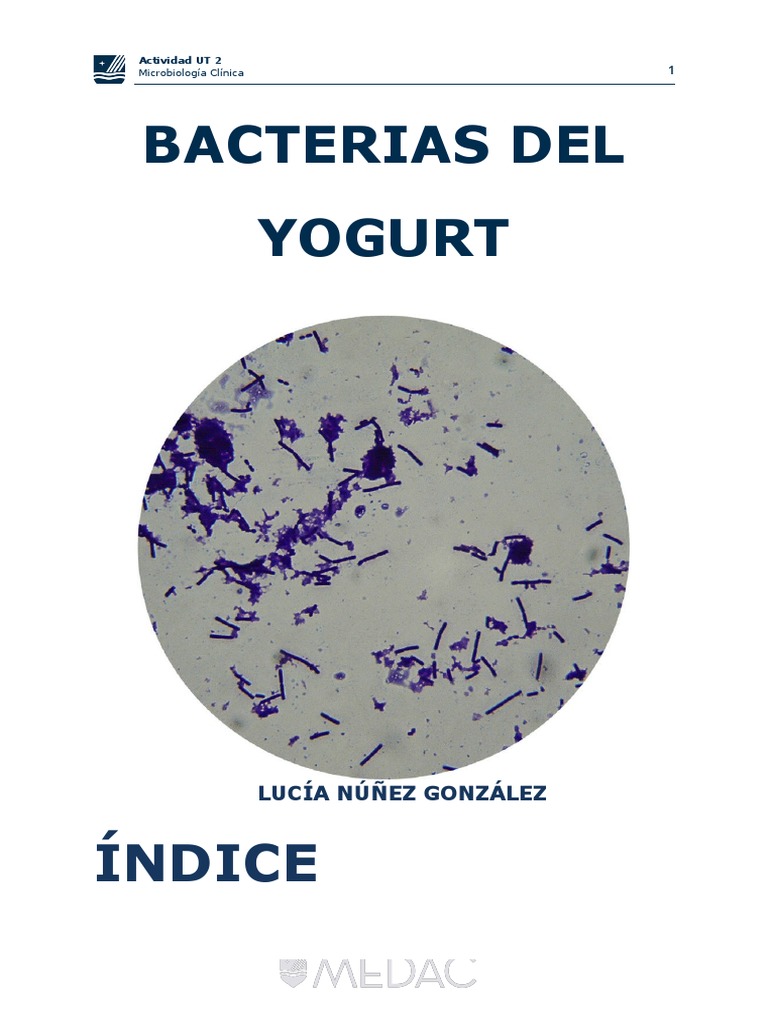Bacterias Del Yogurt | PDF | Yogur | Leche