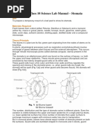10biology Practical - Stomata | PDF | Stoma | Leaf